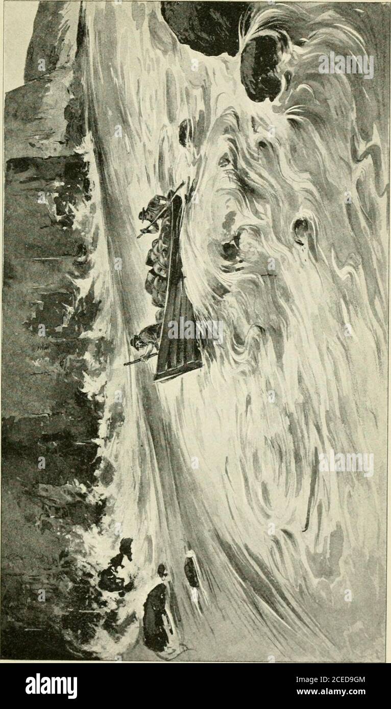 Chicago swamp hi-res stock photography and images - Alamy