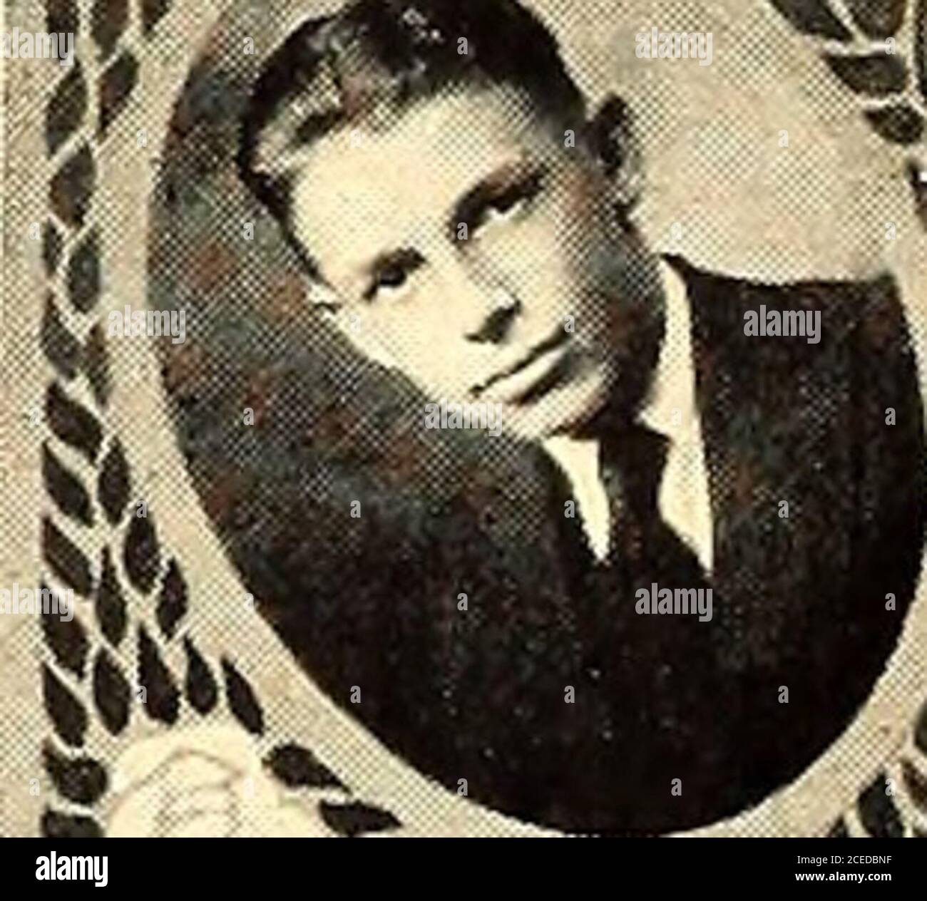 . Arsenal Cannon (January 1920). 15#