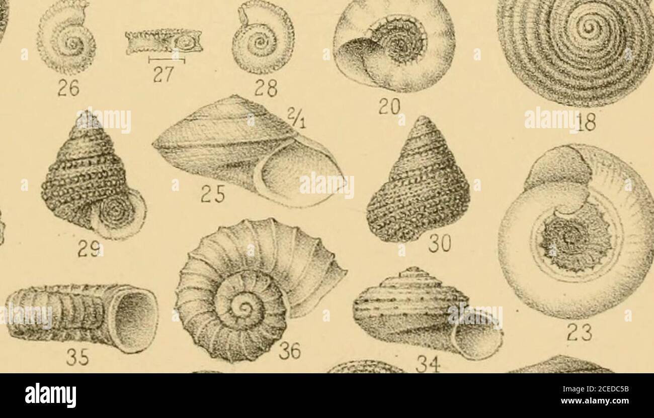 Lip vesicles hi-res stock photography and images - Alamy