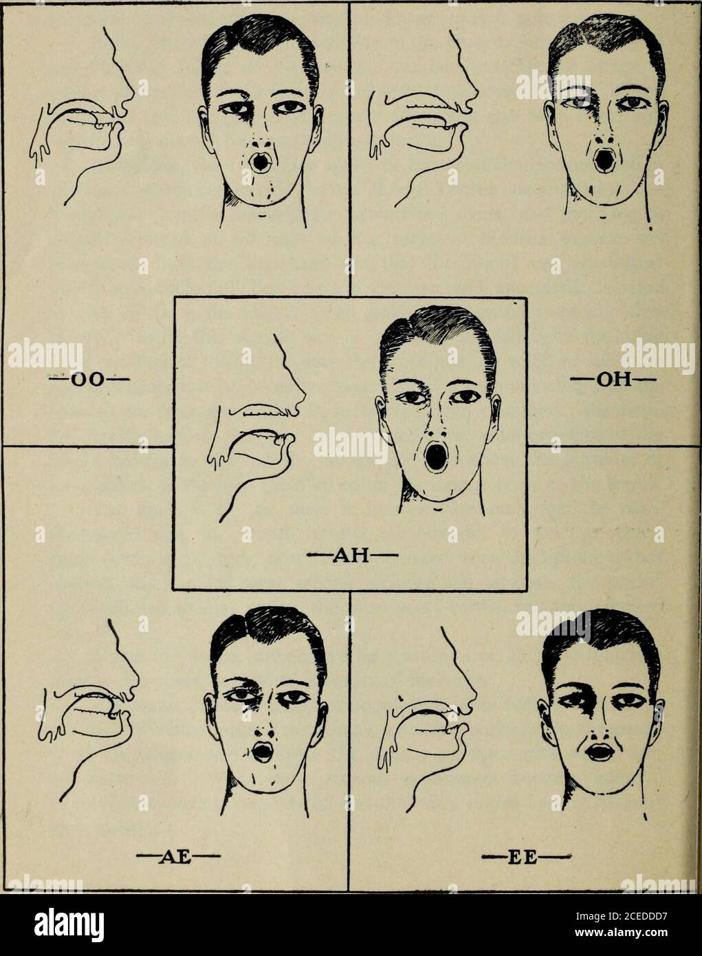 . How to sing : a complete treatise on singing with practical ...