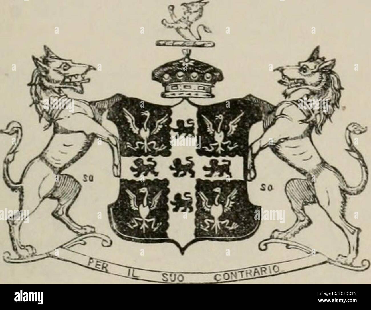 Anne cavaliere hi-res stock photography and images - Alamy