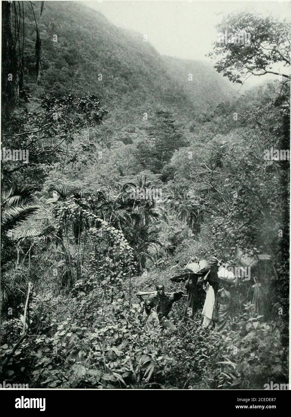 . Scenes from every land, second series; a collection of 250 ...