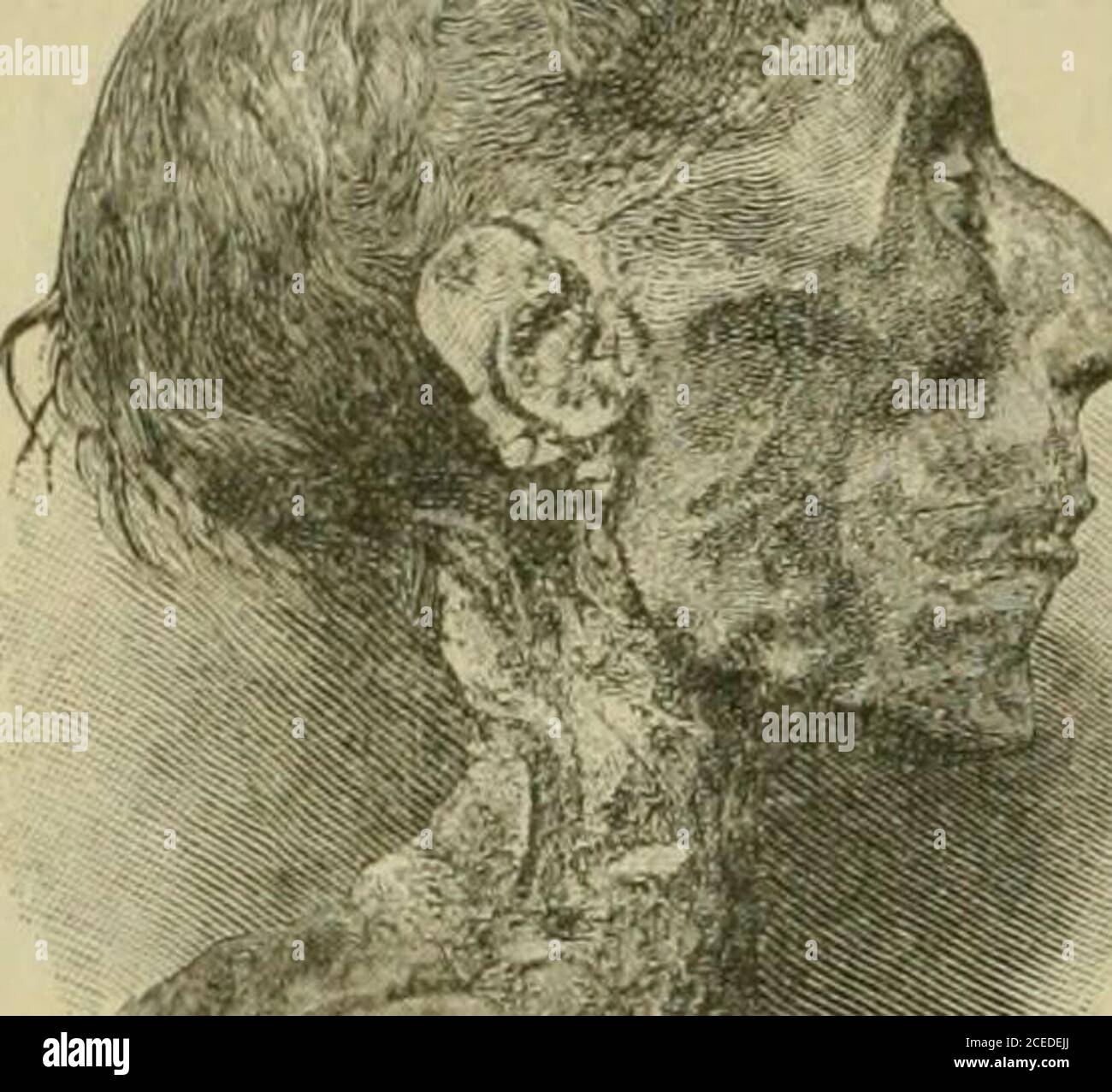 Dead pharaohs hi-res stock photography and images - Alamy