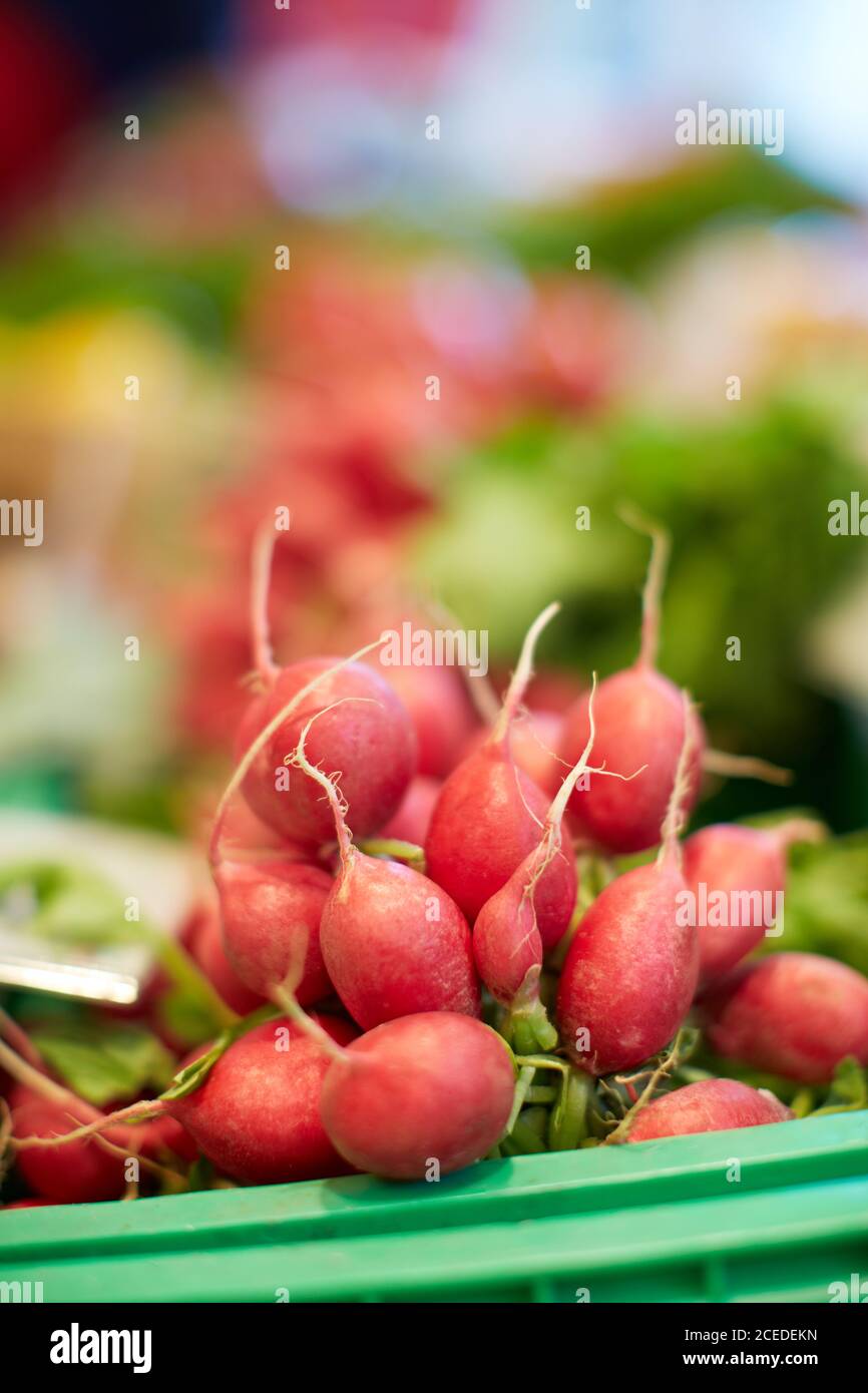 Radishes in a supermarket hi-res stock photography and images - Alamy