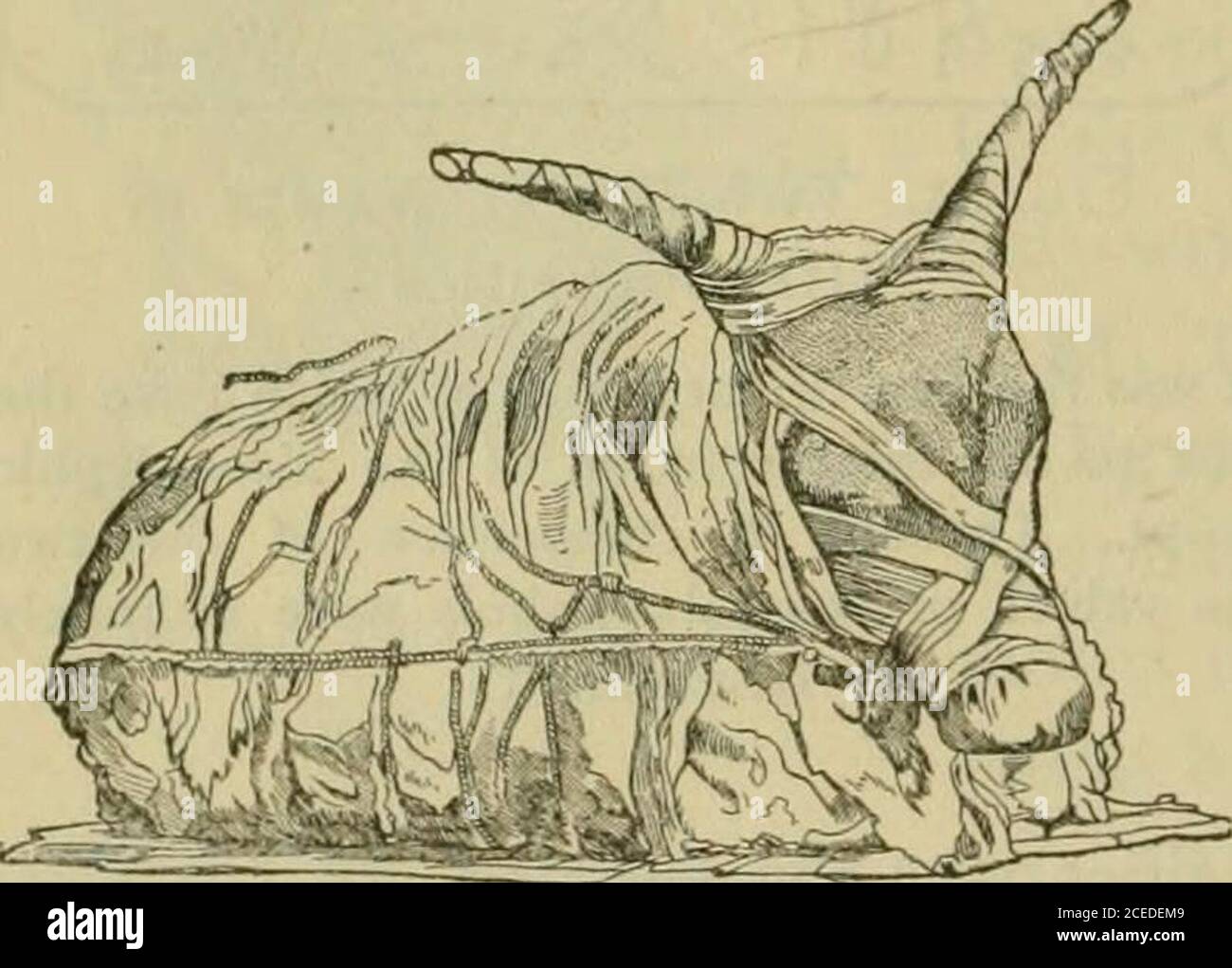 The tomb of apis hi-res stock photography and images - Alamy