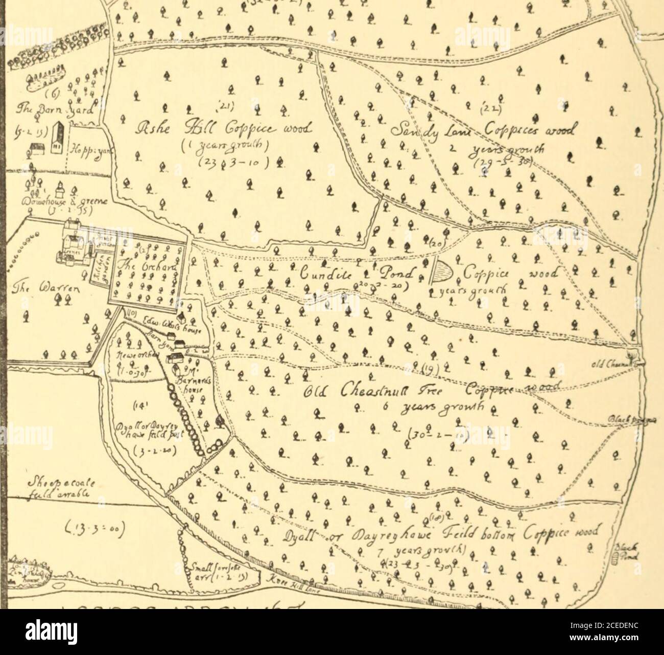 . Lesnes Abbey in the parish of Erith, Kent; being the complete report ...