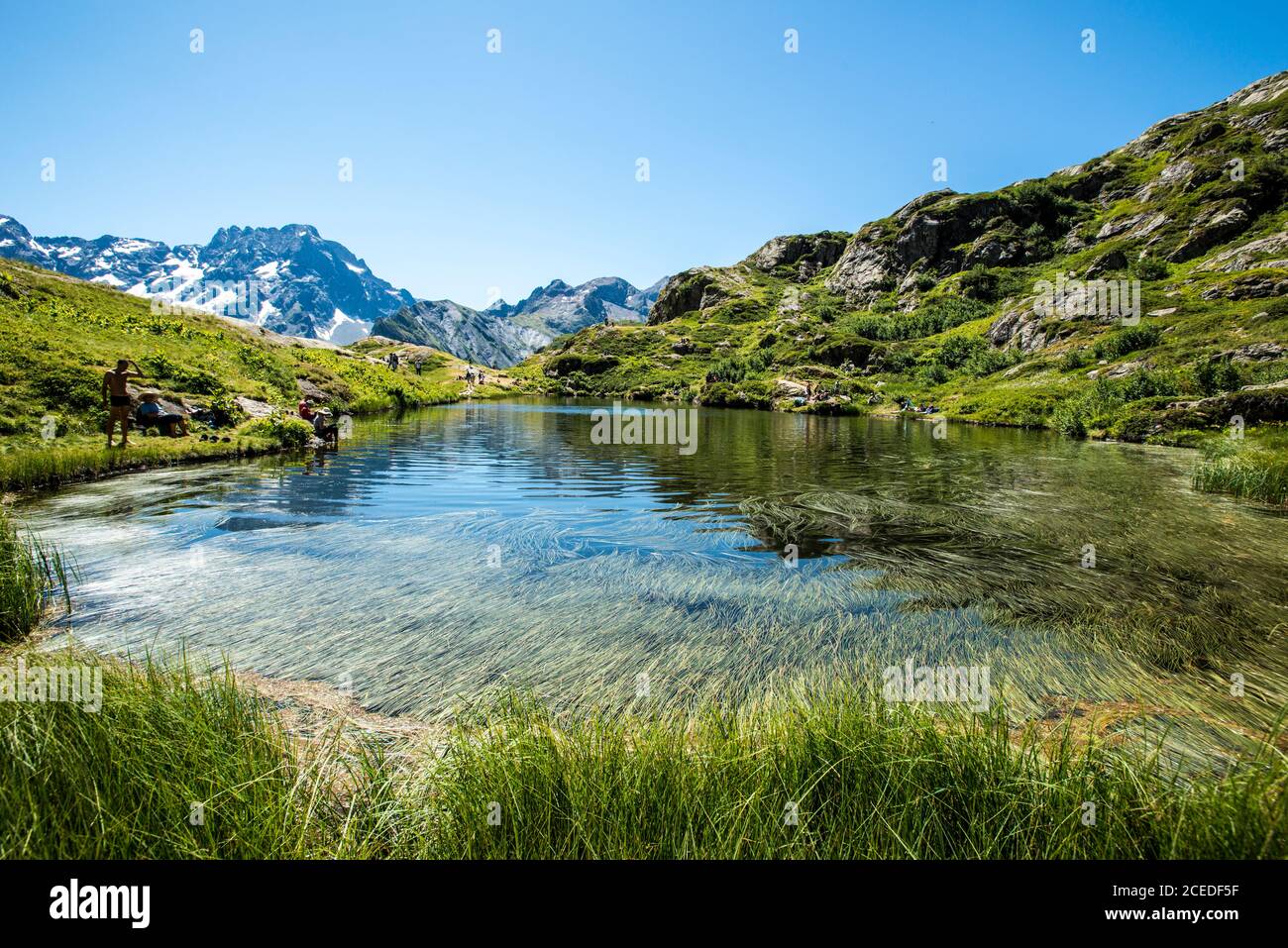 Woodland lagoon hi-res stock photography and images - Alamy