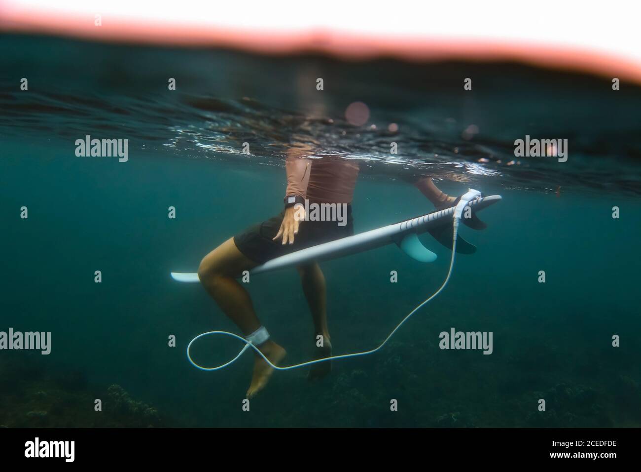 Side view of crop male floating on surf board in azure water of sea on ...