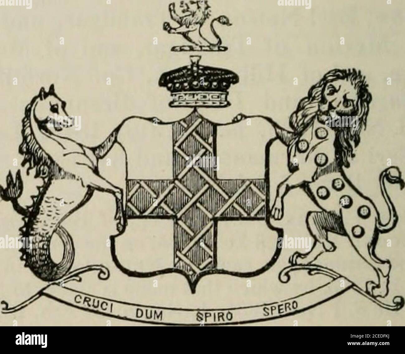 Girdlestone hi-res stock photography and images - Alamy