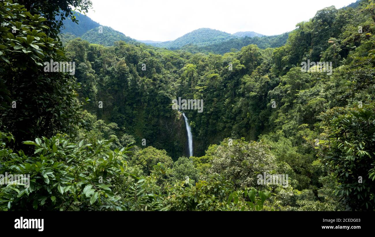 Lush green ravine with waterfall Stock Photo - Alamy