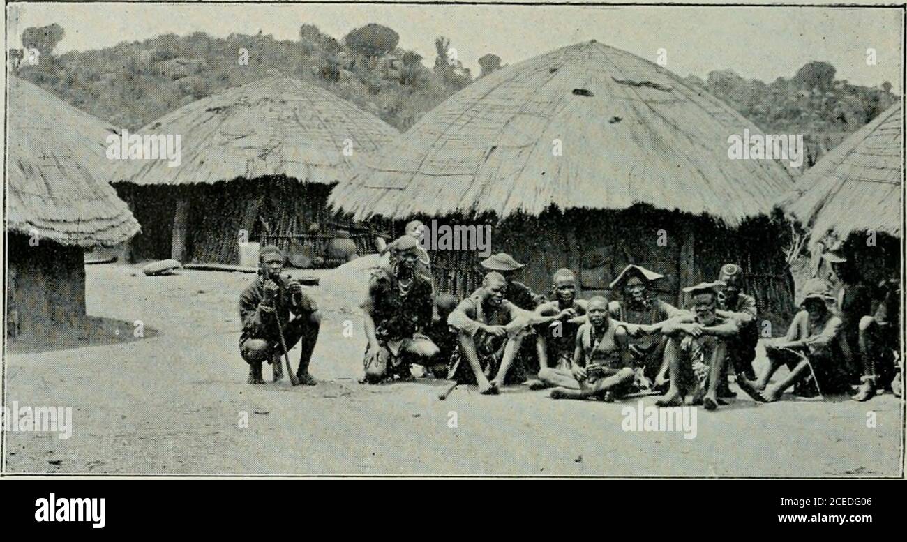 . The call of the dark continent : a study in missionary progress ...