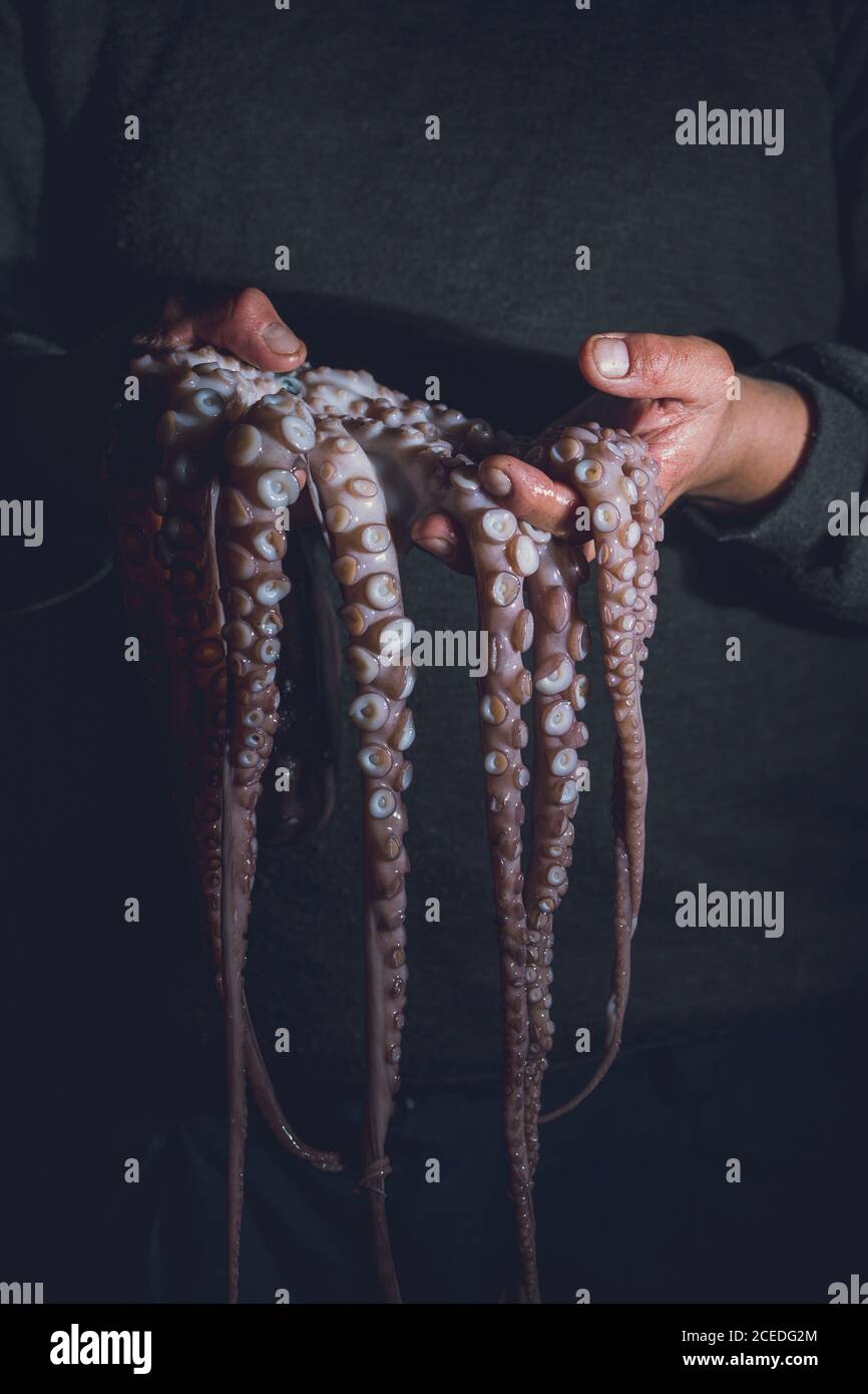 man holds a raw octopus in his hands. Dark photo Stock Photo - Alamy