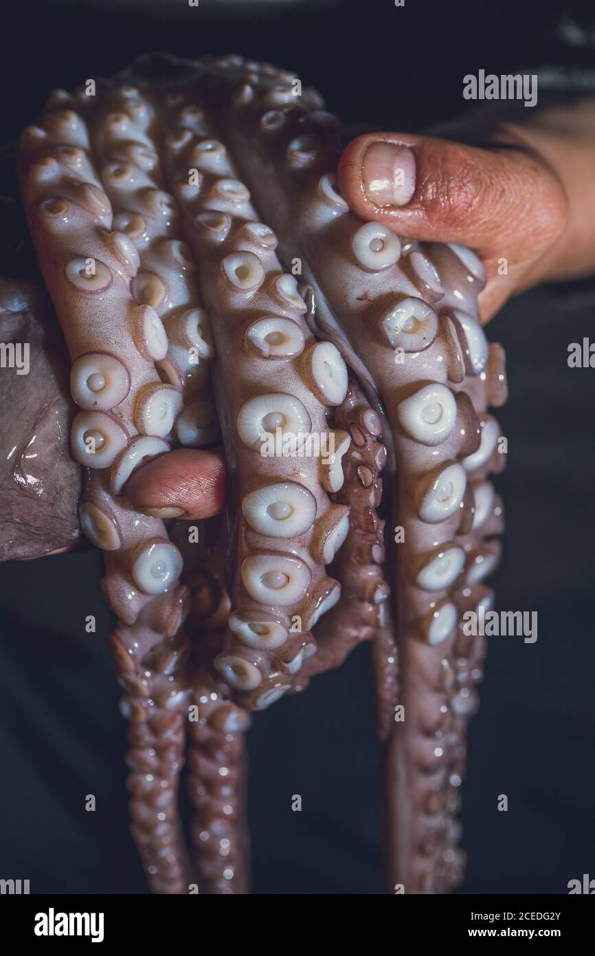 Dark and moodie hi-res stock photography and images - Alamy