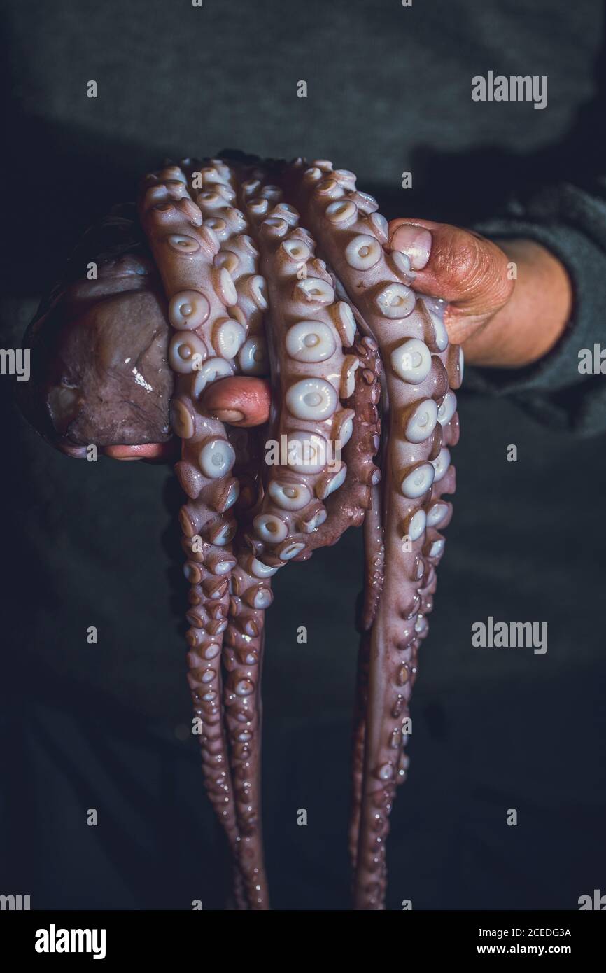 Dark and moodie hi-res stock photography and images - Alamy