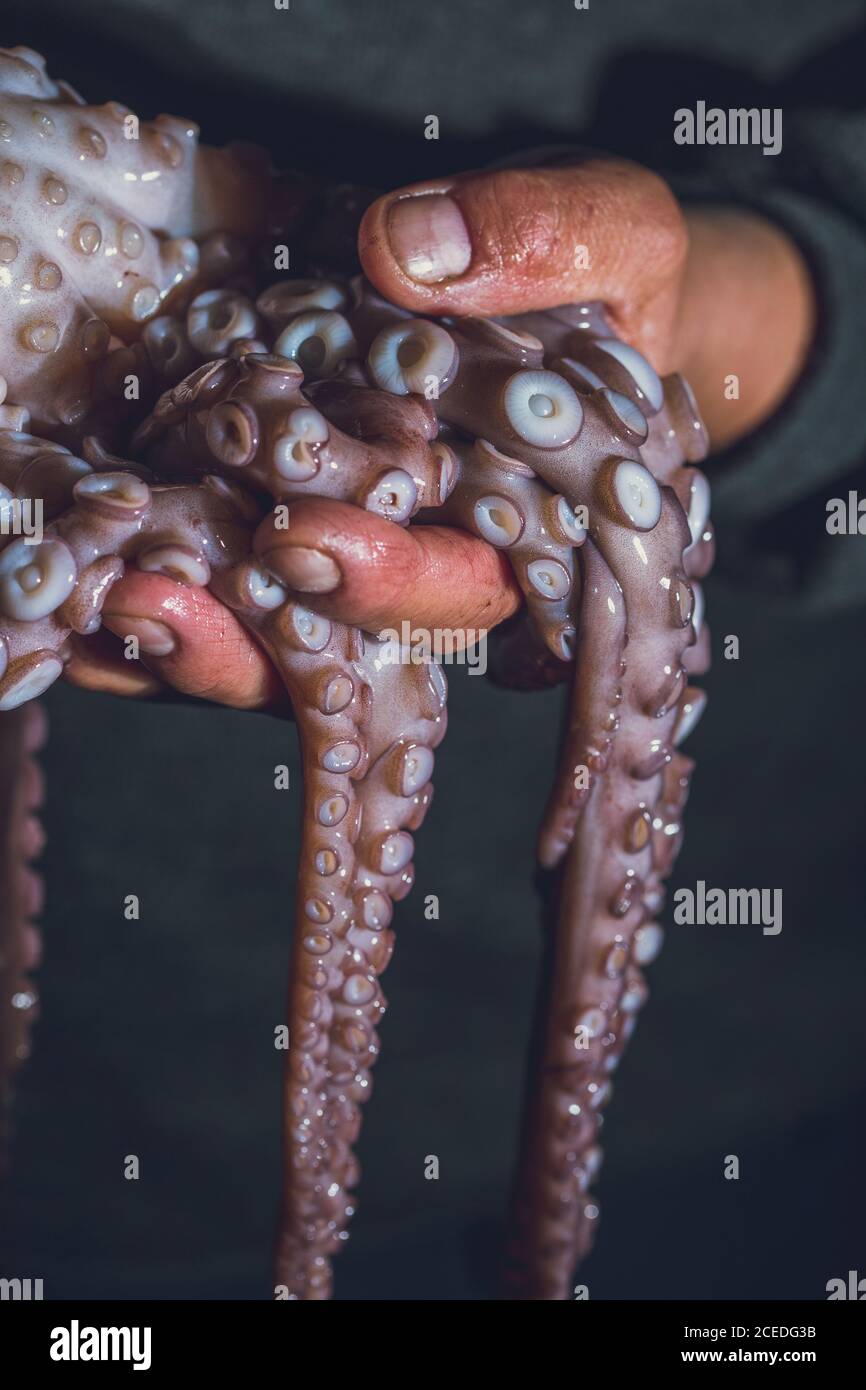 Dark and moodie hi-res stock photography and images - Alamy