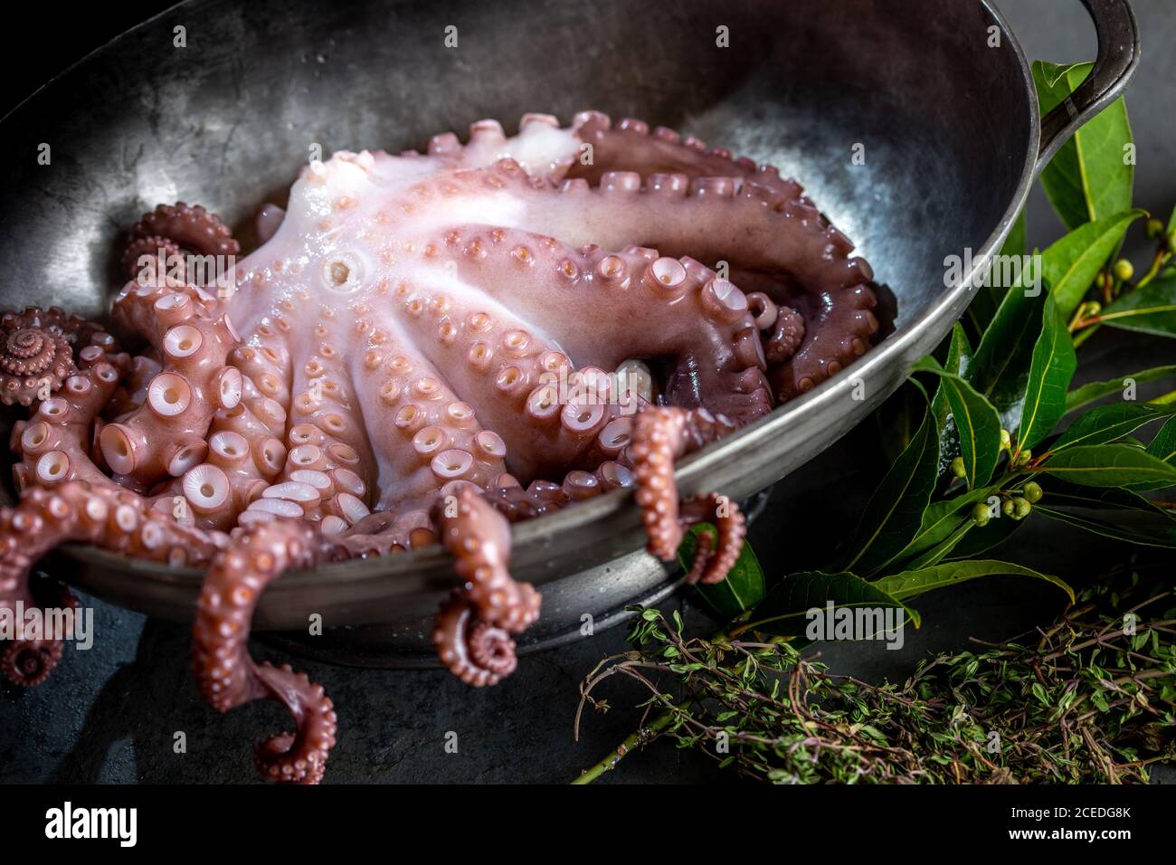 Fresh octopus tentacles with aromatic herbs lying in metal bowl in ...