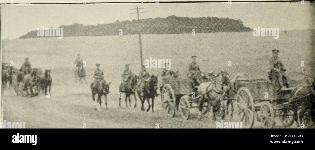 . Kitchener's army and the territorial forces, the full story of a ...