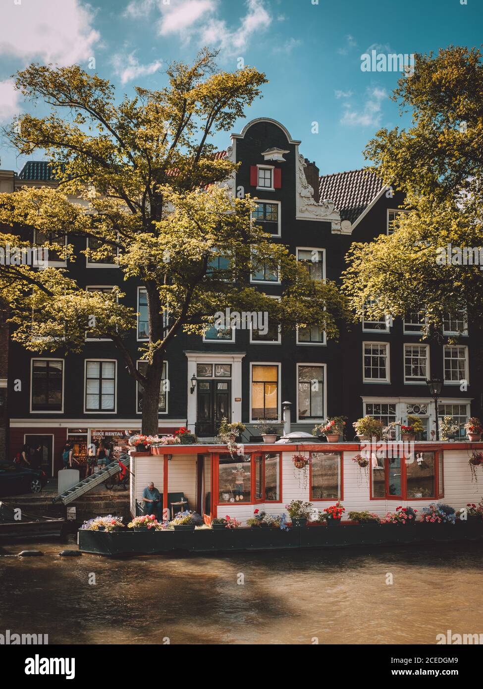 Street of sunny town with green trees and gray houses on Feroe Island ...