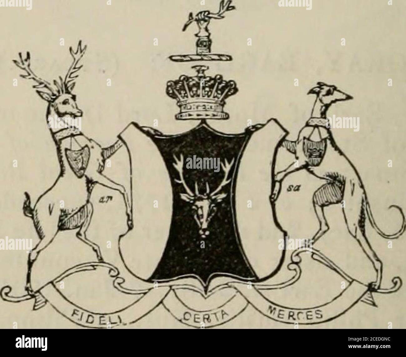 Lady jane stuart hi-res stock photography and images - Alamy