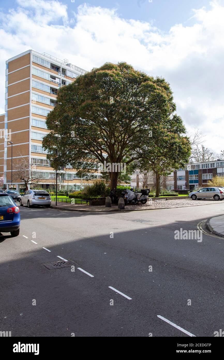 Pioneering mid-twentieth century architecture of Churchill Gardens ...