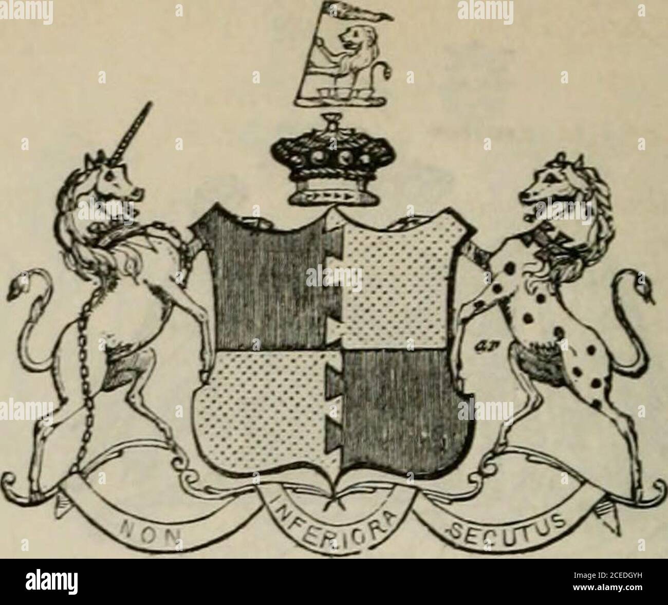 Cecil spring rice hi-res stock photography and images - Alamy