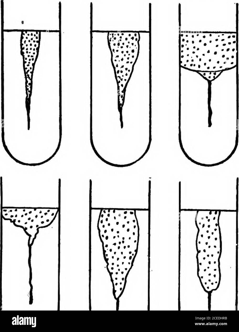 . A laboratory guide in bacteriology, for the use of students, teachers ...