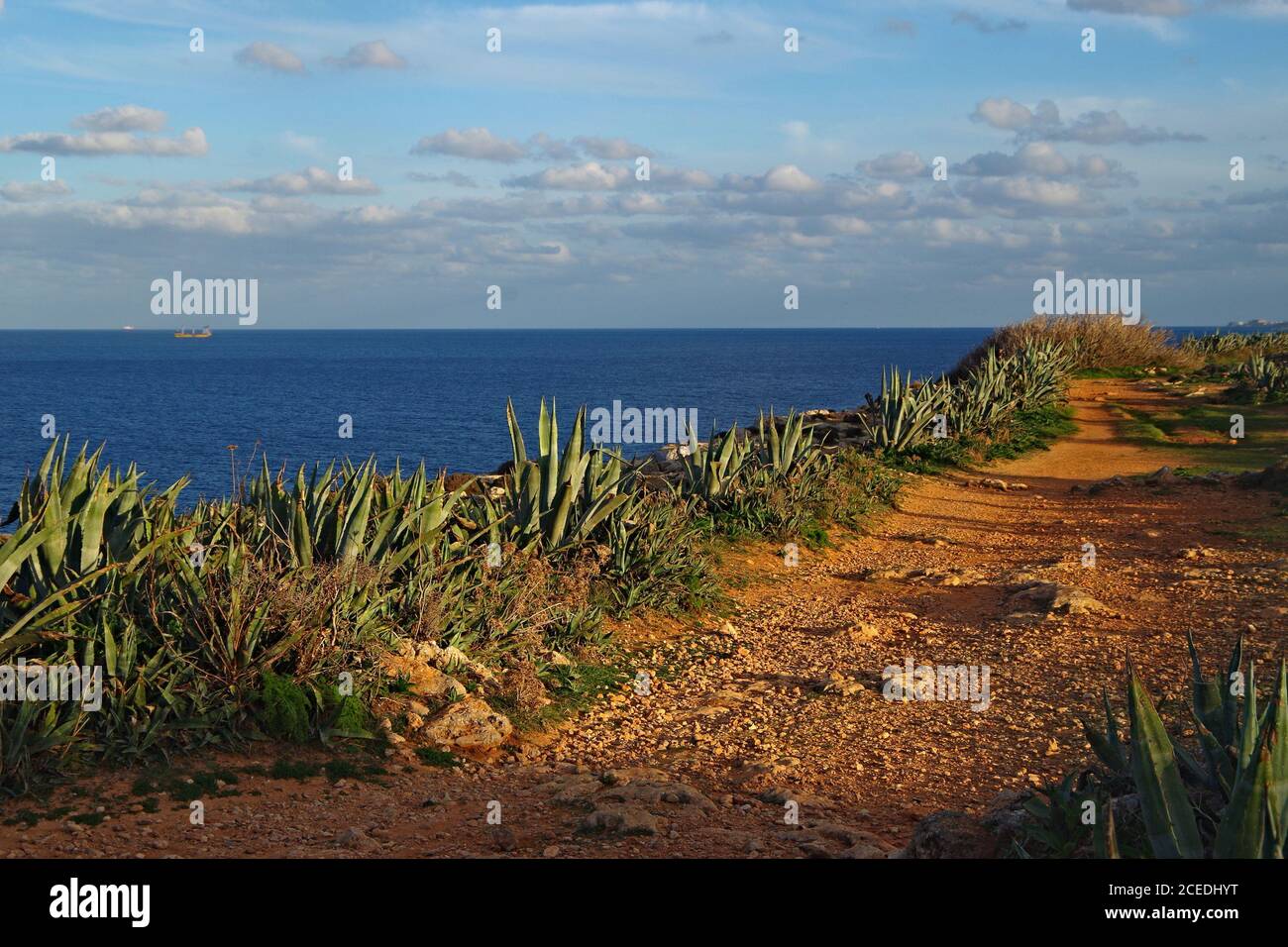 Narrow rocky pathway in hi-res stock photography and images - Alamy