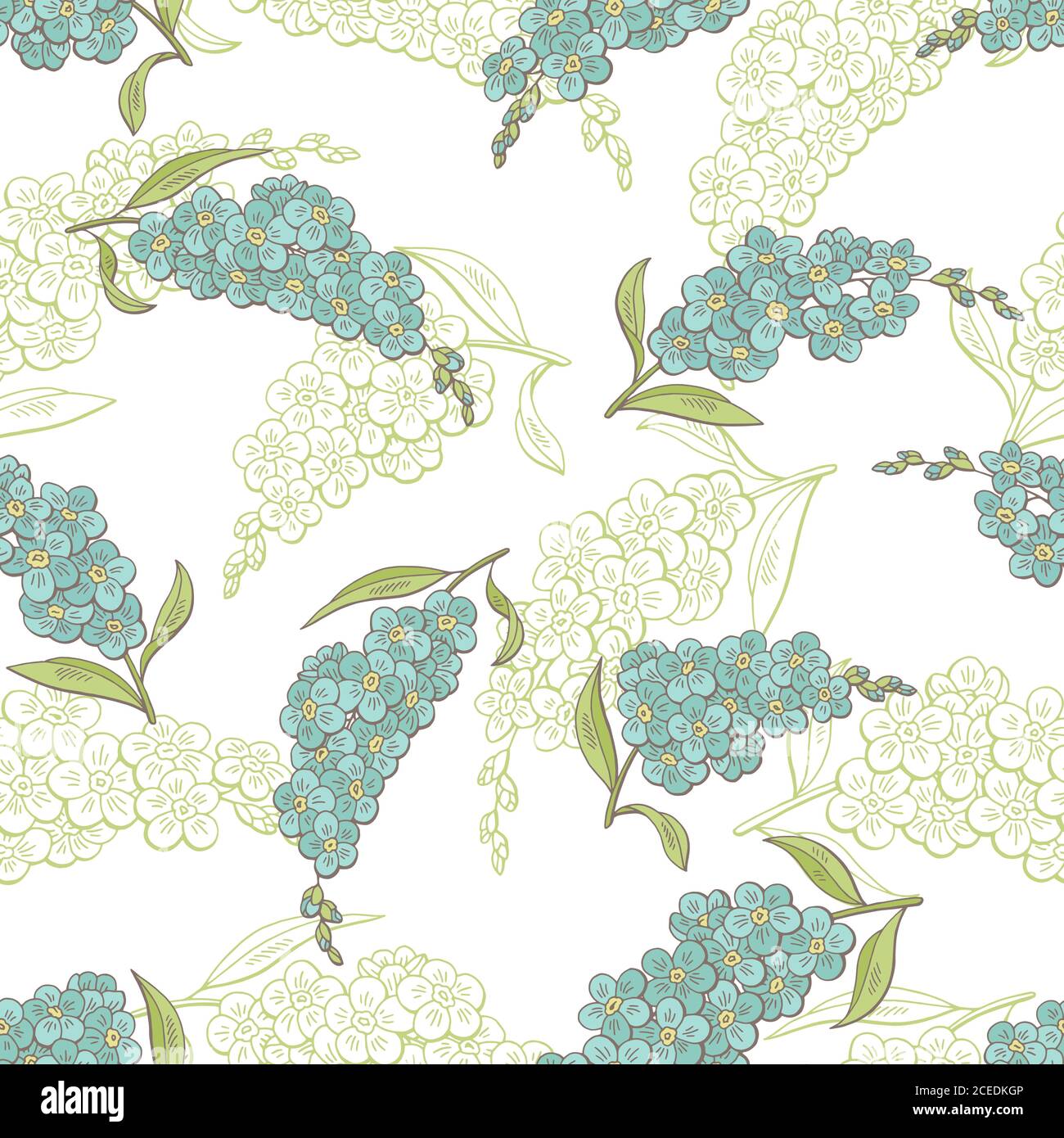 Forget me not flower graphic color seamless pattern sketch illustration ...