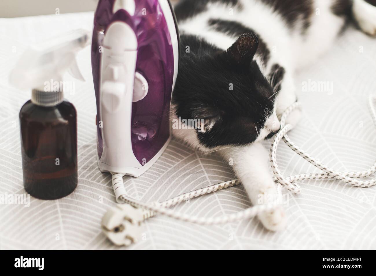 Sleeping cat on ironing board hi-res stock photography and images - Alamy