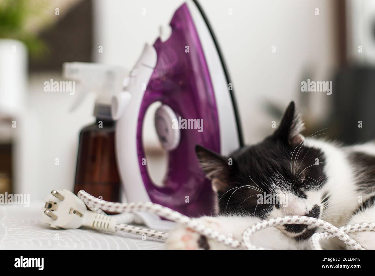 Sleeping cat on ironing board hi-res stock photography and images - Alamy