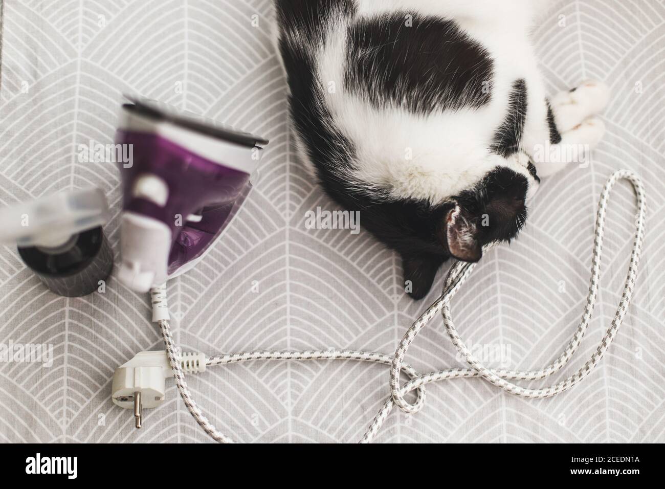 Adorable cat sleeping at iron cable on modern cloth. Laundry and ...