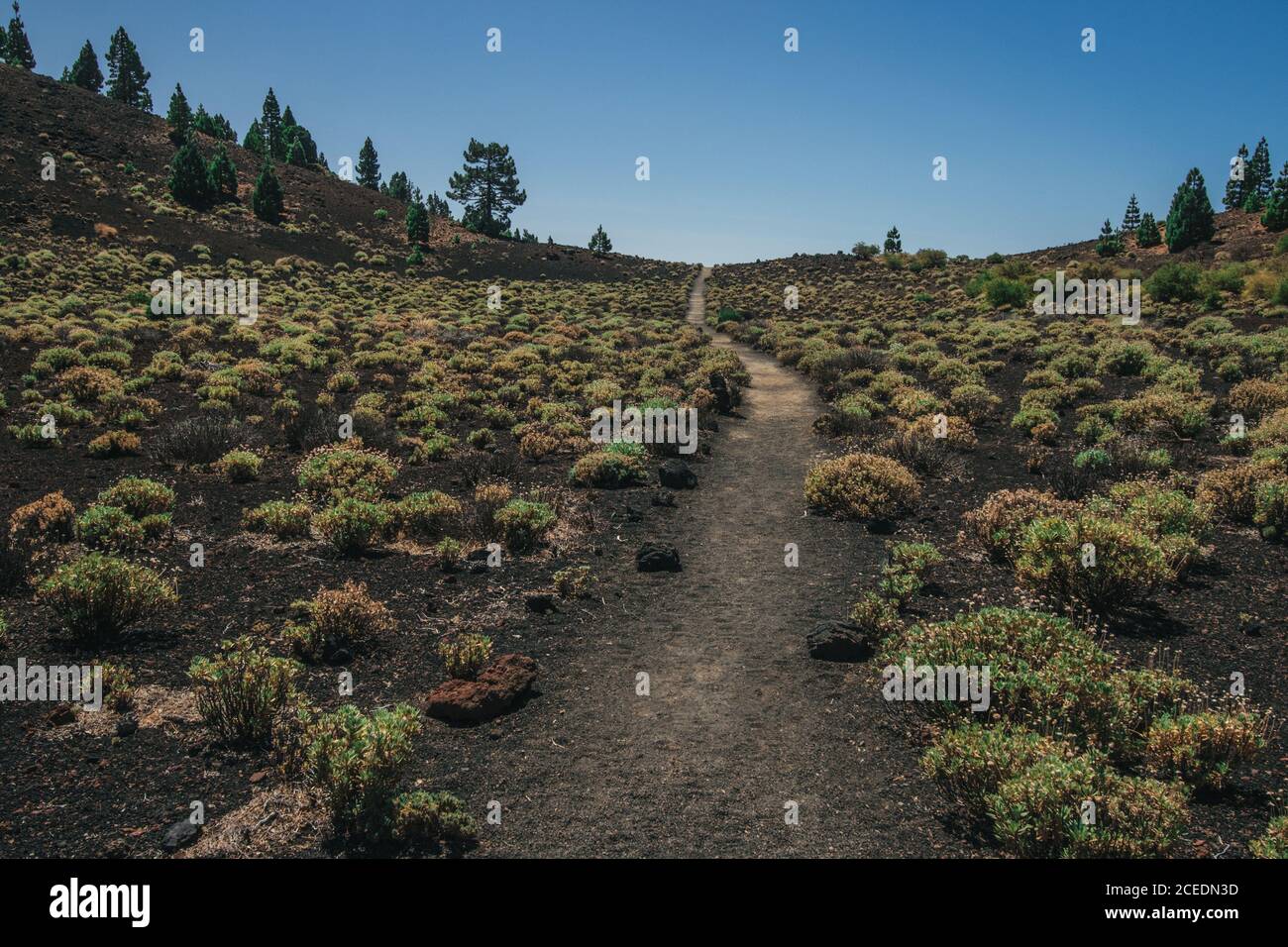 Running pathway hi-res stock photography and images - Alamy