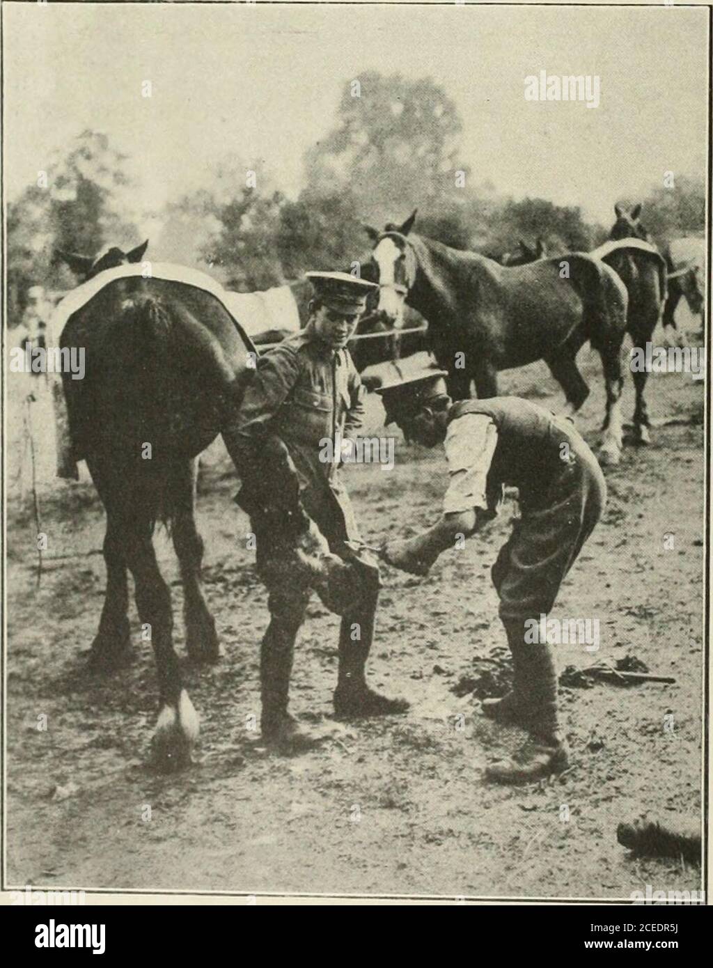 Mnei hi-res stock photography and images - Alamy