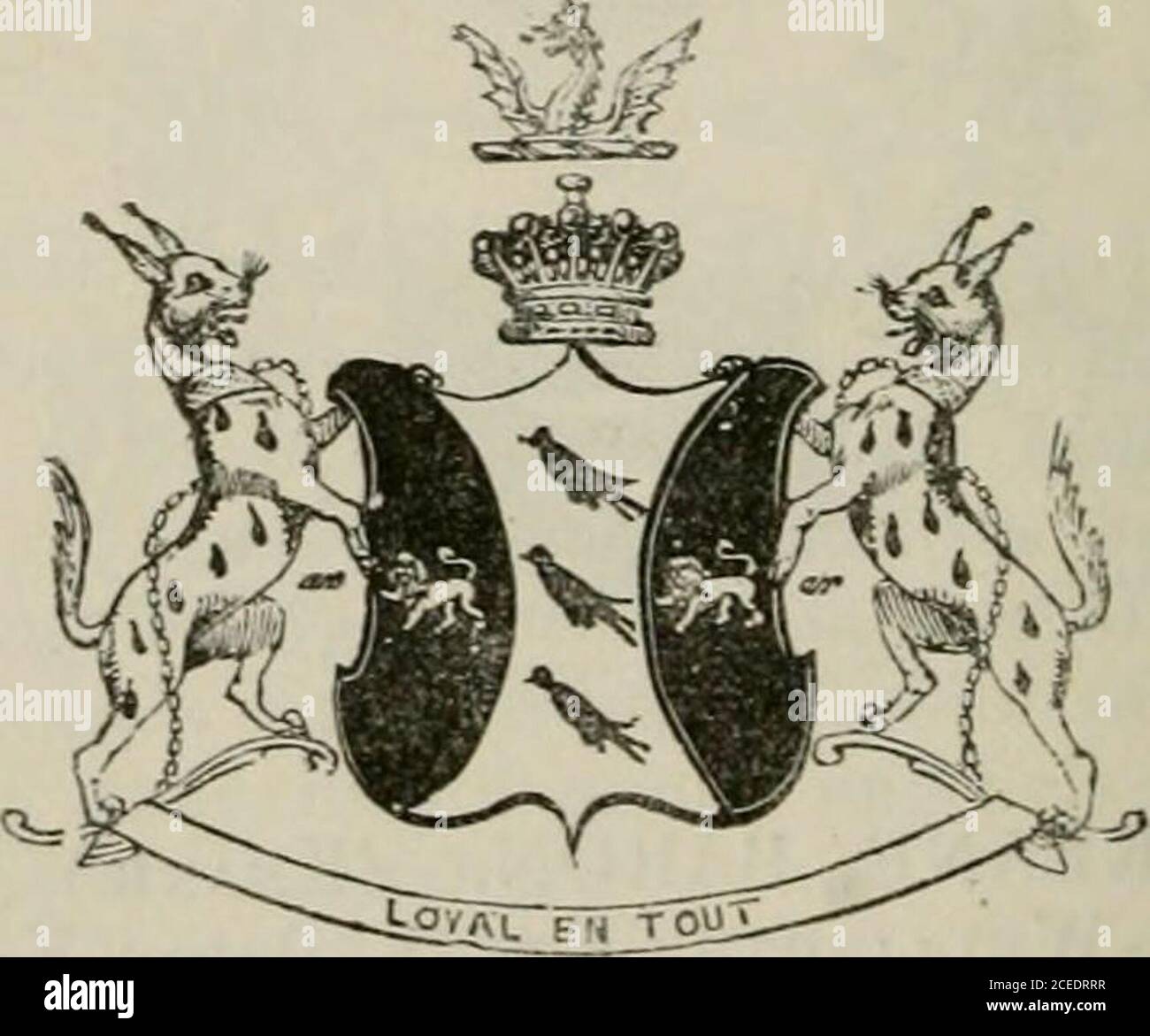 Elizabeth penrose hi-res stock photography and images - Alamy