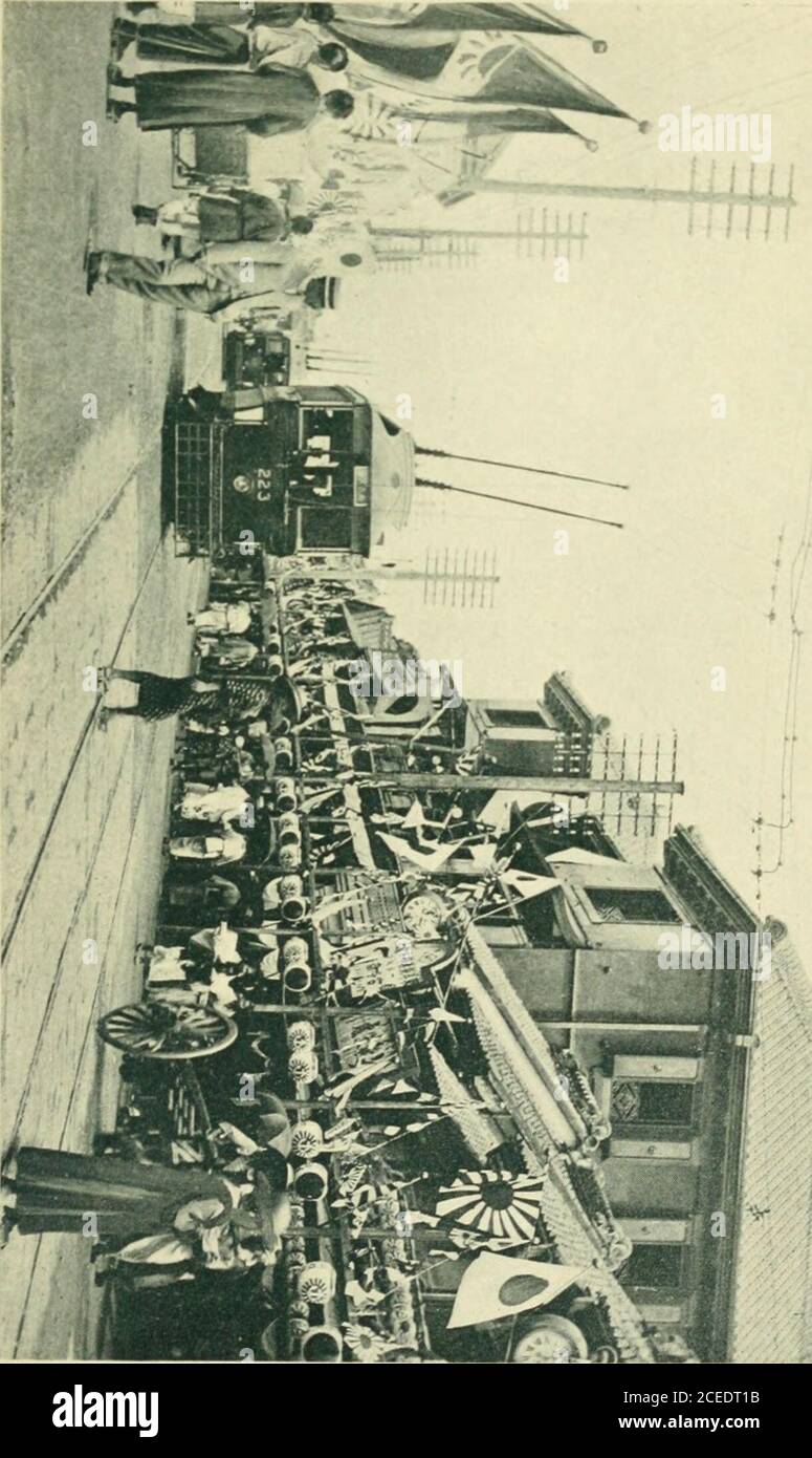 Pongi hi-res stock photography and images - Alamy