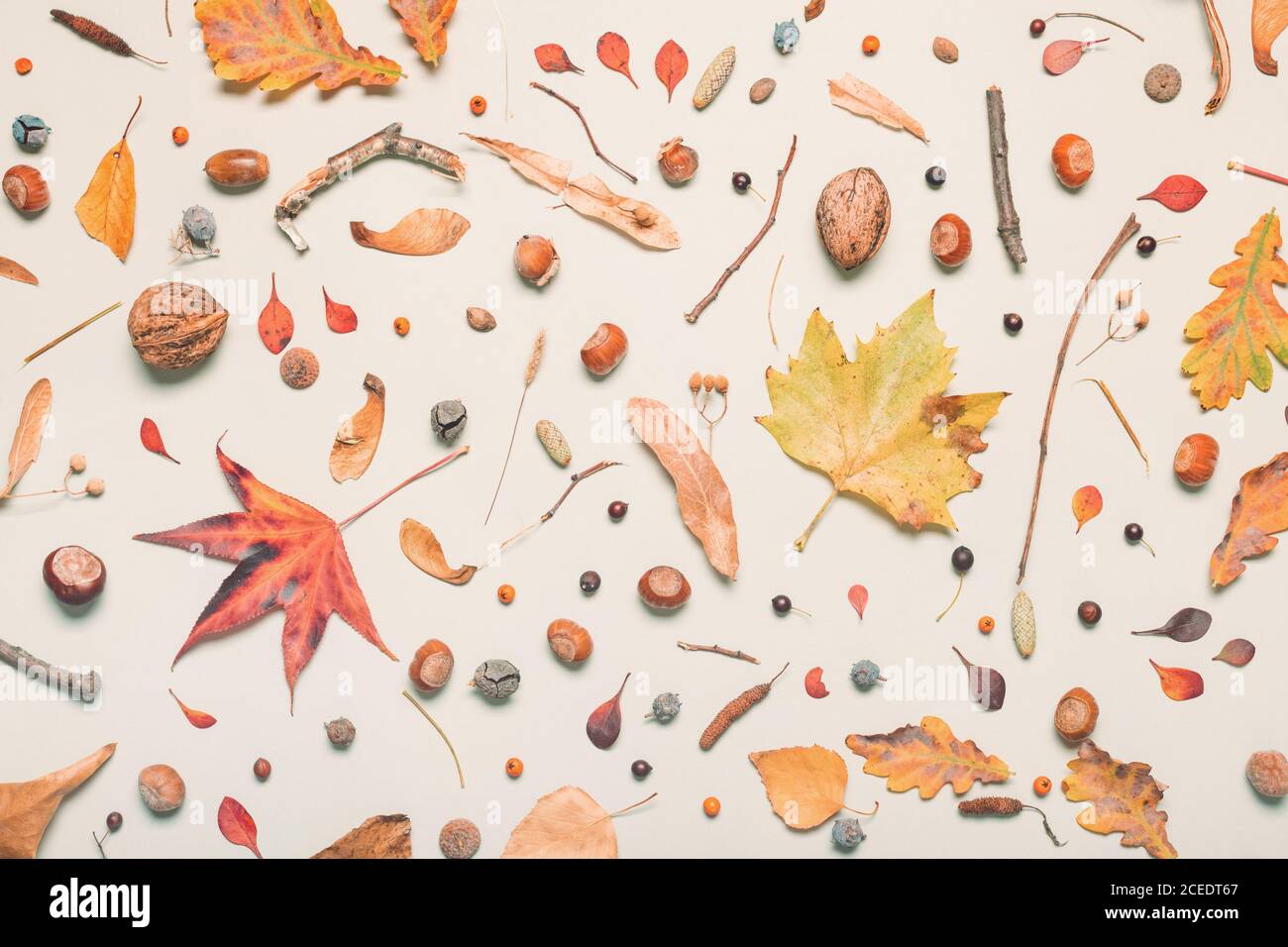 Flat lay autumn season decoration, top view of leaves and branches ...