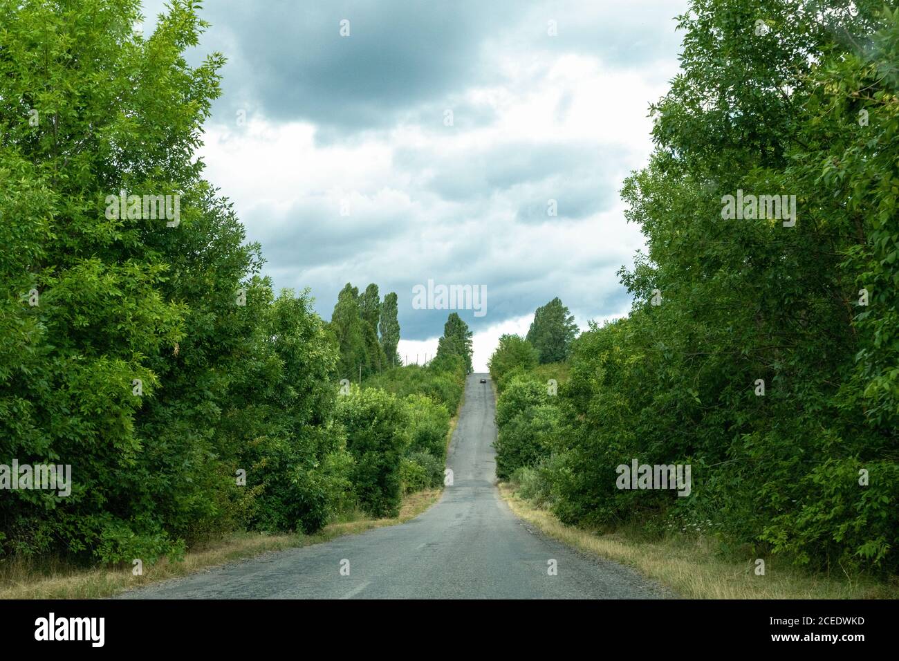 Sky among trees hi-res stock photography and images - Alamy