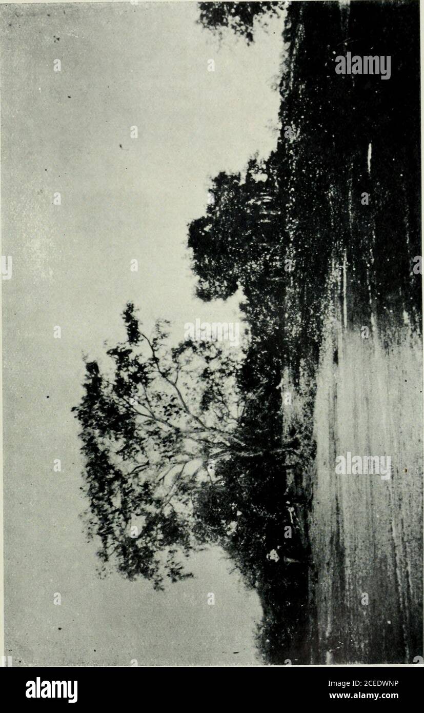 Pratapaditya hi-res stock photography and images - Alamy