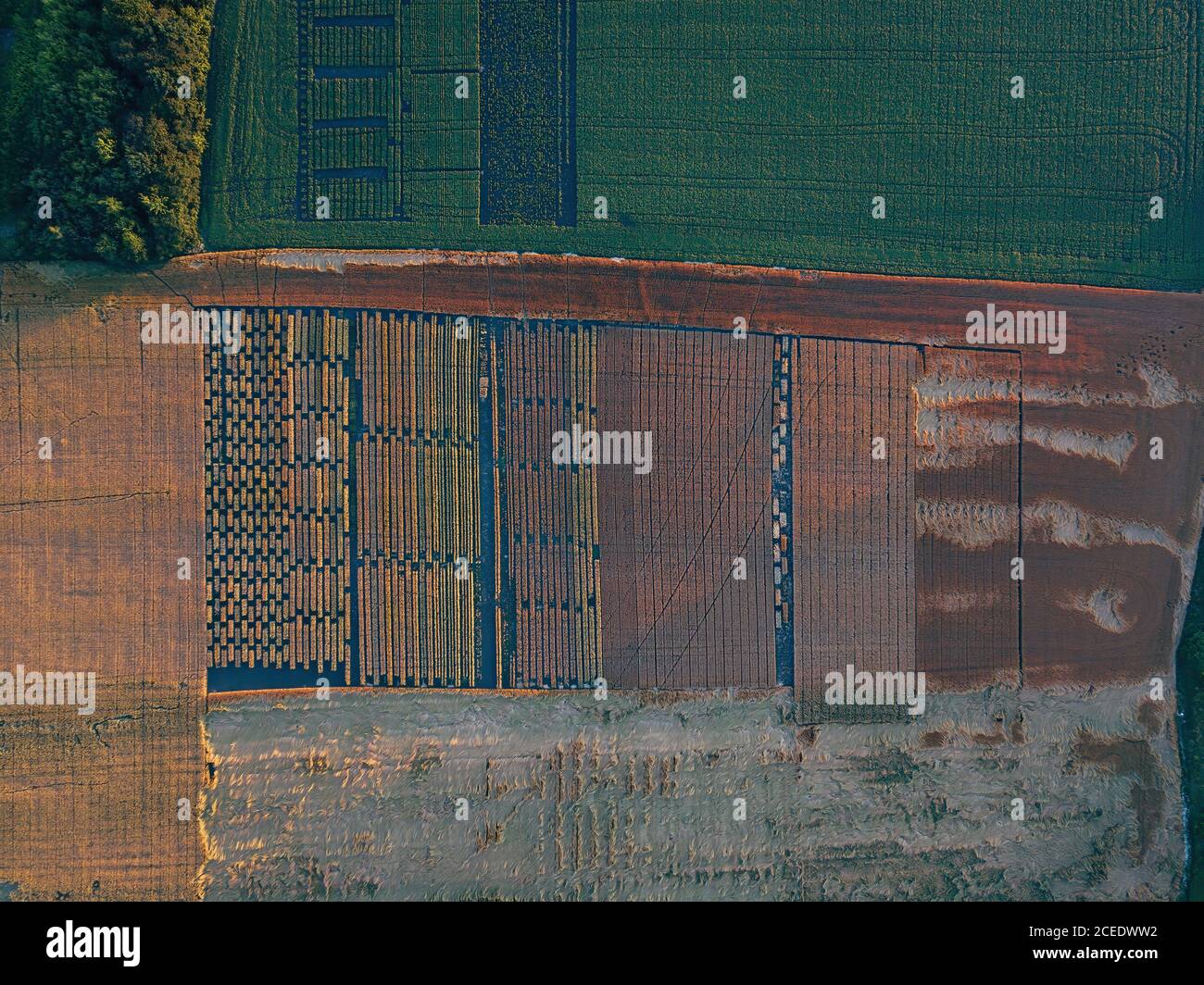 Agricultural plots hi-res stock photography and images - Alamy