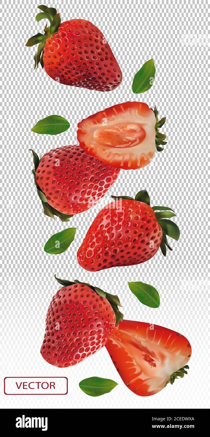 Realistic strawberry on transparent background. Whole strawberries ...