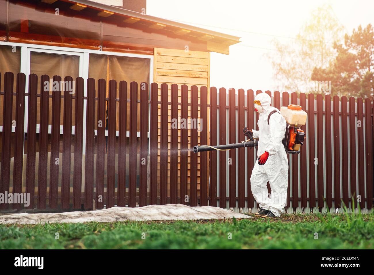 Hygiene pests hi-res stock photography and images - Alamy