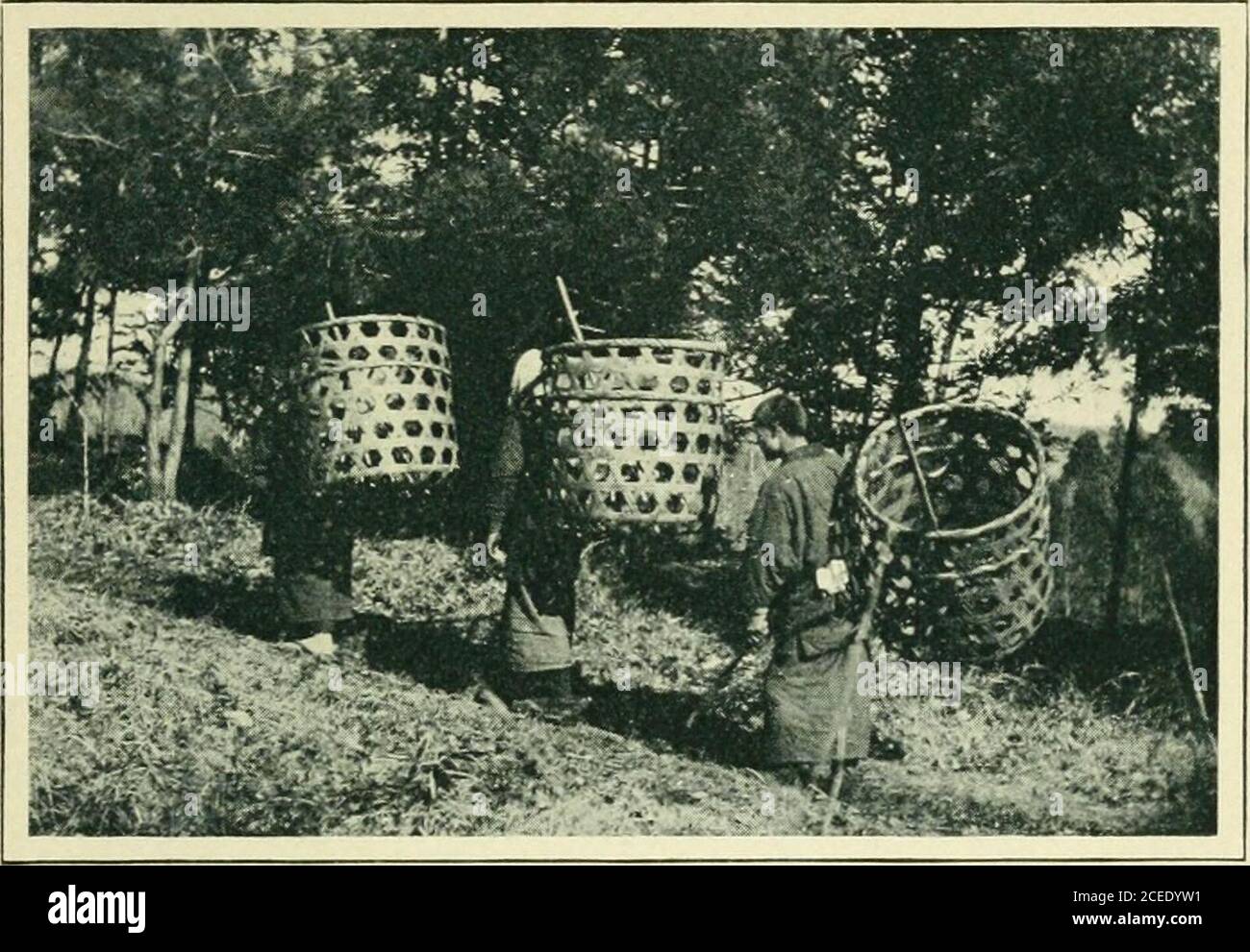 . Hildreth's "Japan as it was and is" : a handbook of old Japan ...