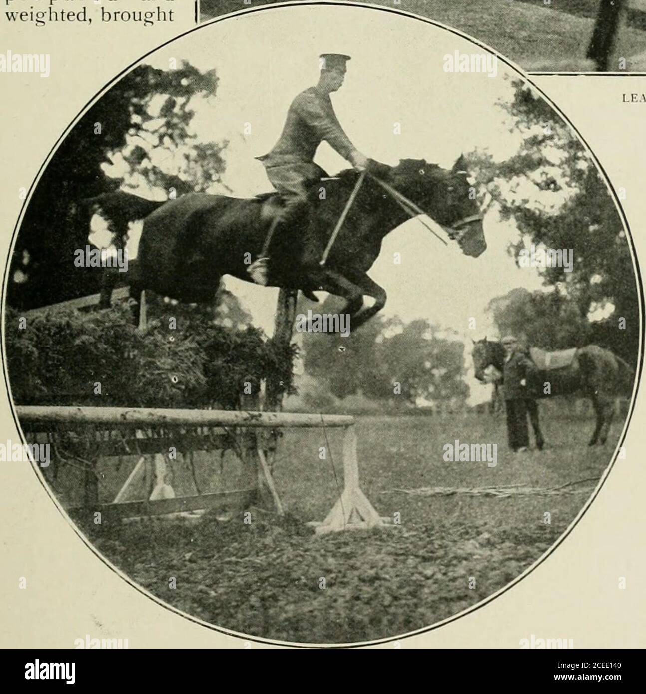 . Kitchener's army and the territorial forces, the full story of a ...