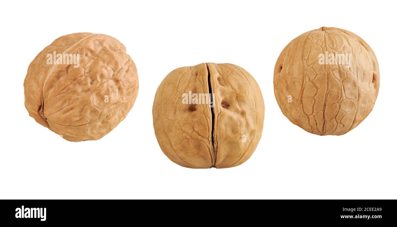 whole walnut isolated on a white background with clipping path Stock ...