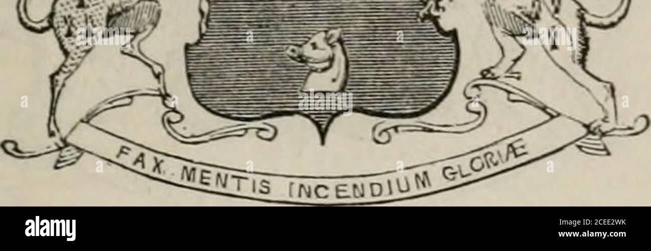 Granard mary hi-res stock photography and images - Alamy