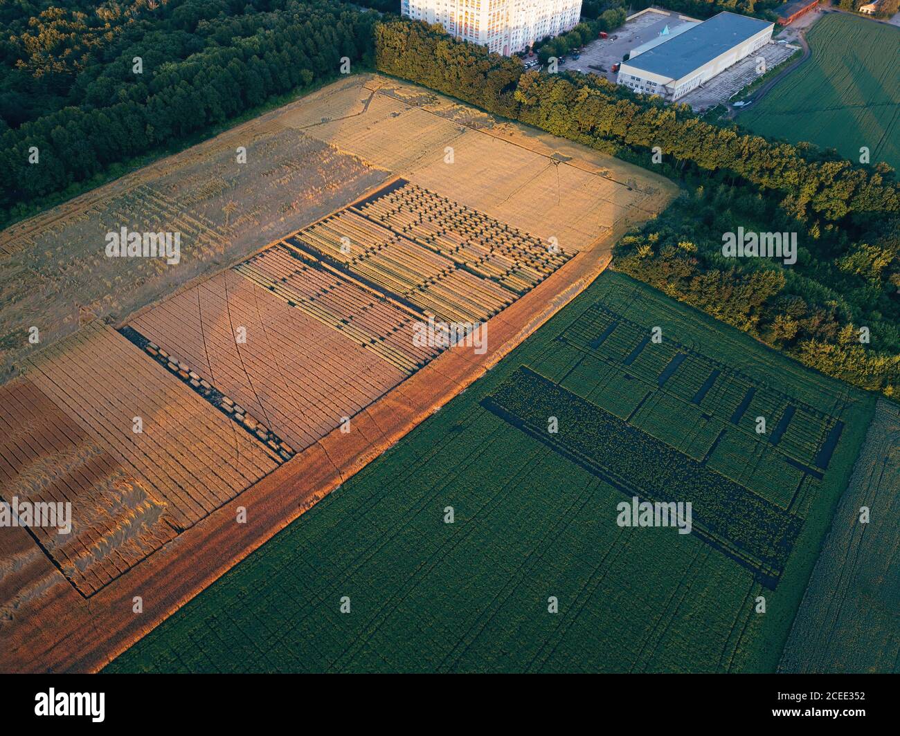 Aerial view of agricultural fields divided into plots Stock Photo - Alamy