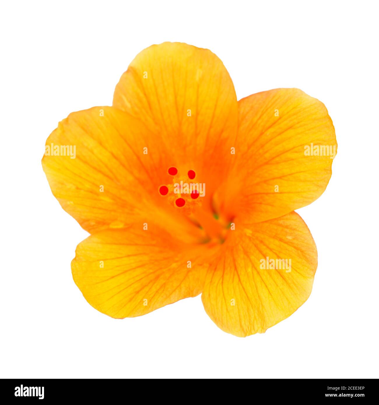 One world center Cut Out Stock Images & Pictures - Alamy