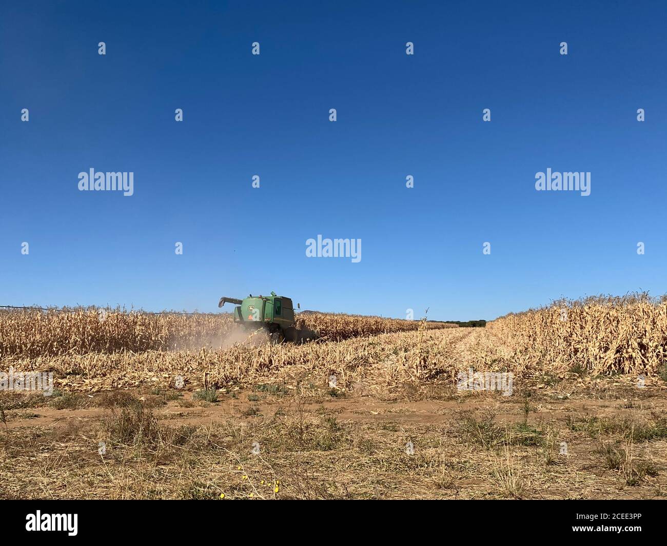 Good agricultural land hi-res stock photography and images - Alamy