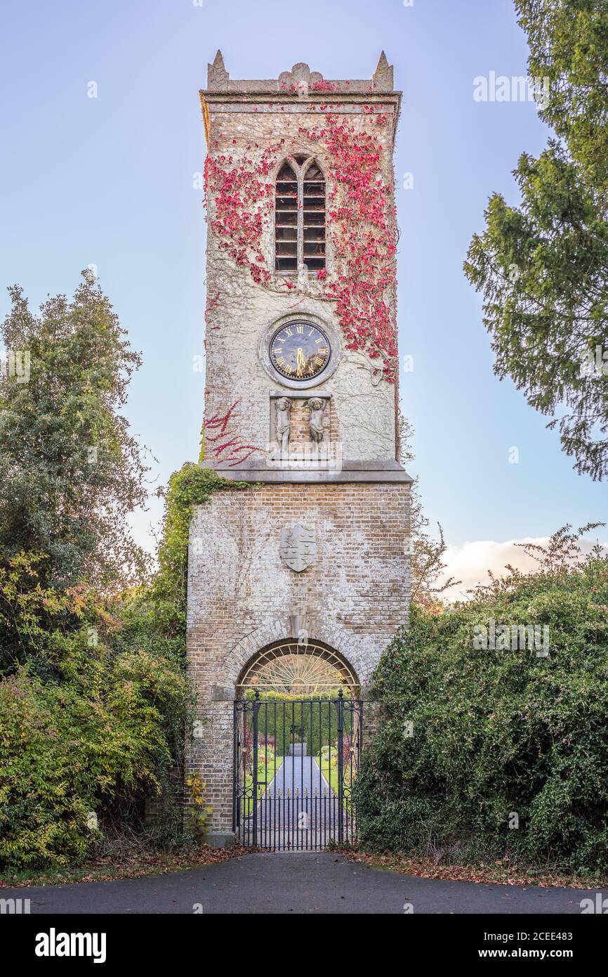 Old, vintage brick clocktower with red ivy, surrounded by green bushes ...