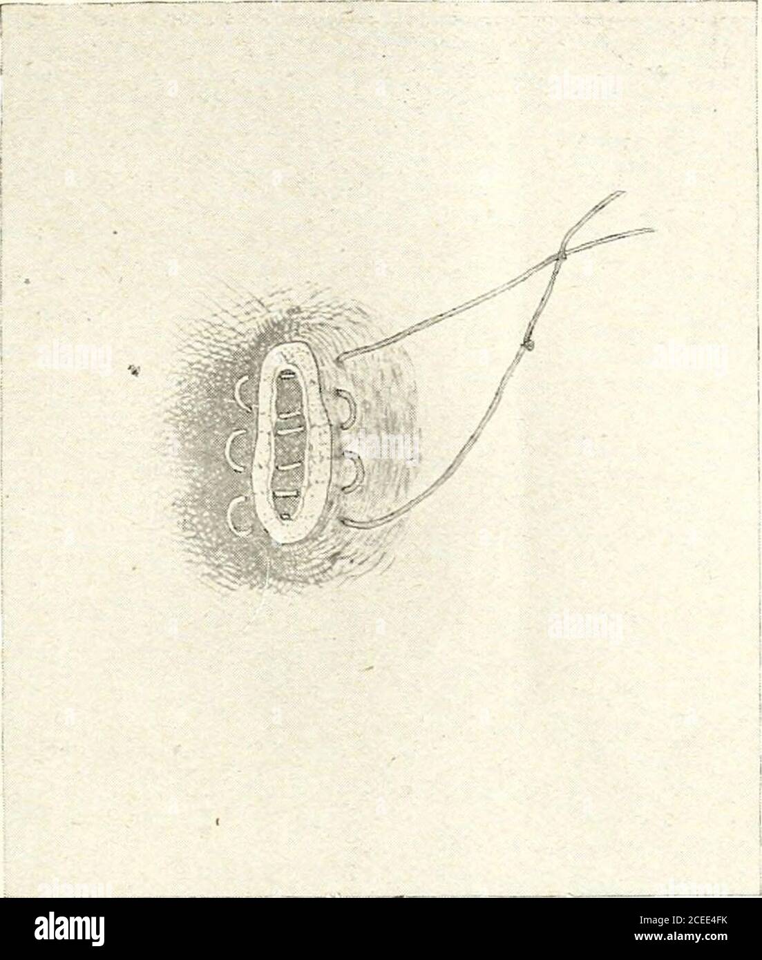 Conjoined direction hi-res stock photography and images - Alamy